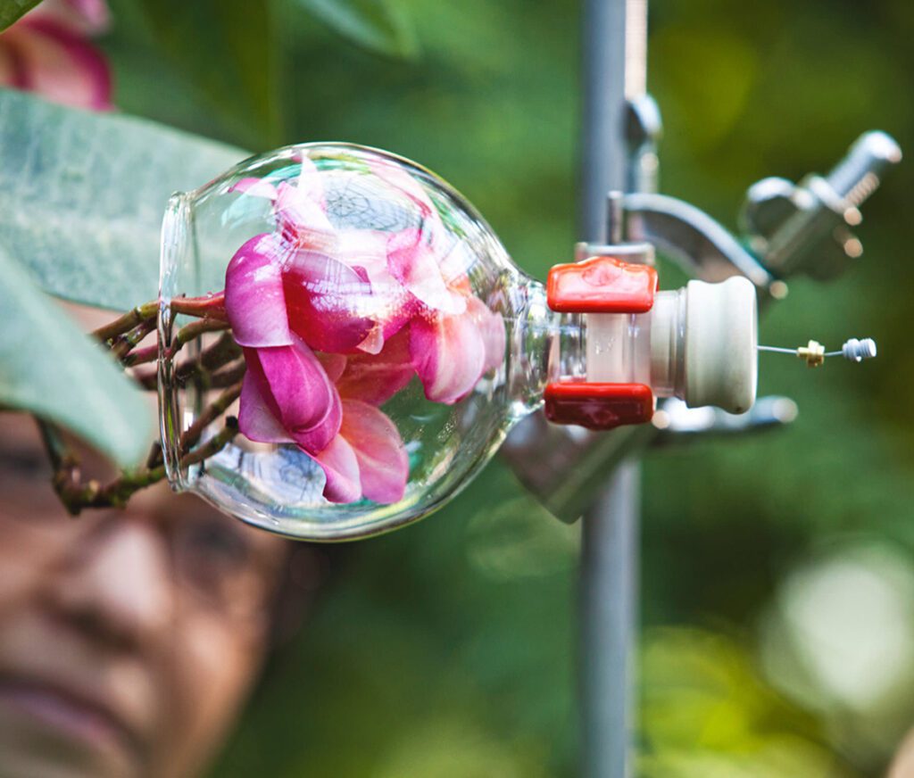 Industry - Fragrance Analysis - ILT