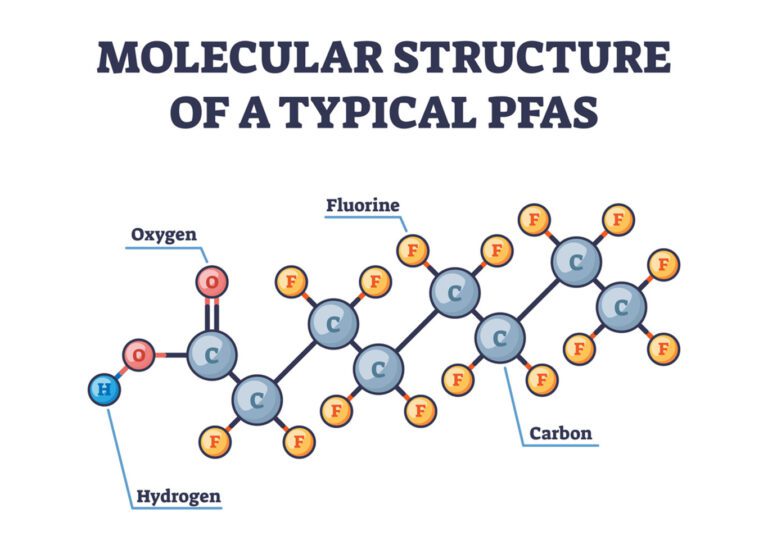 ECHA Advances PFAS Regulation and Chemical Safety in March 2025 Meeting ...